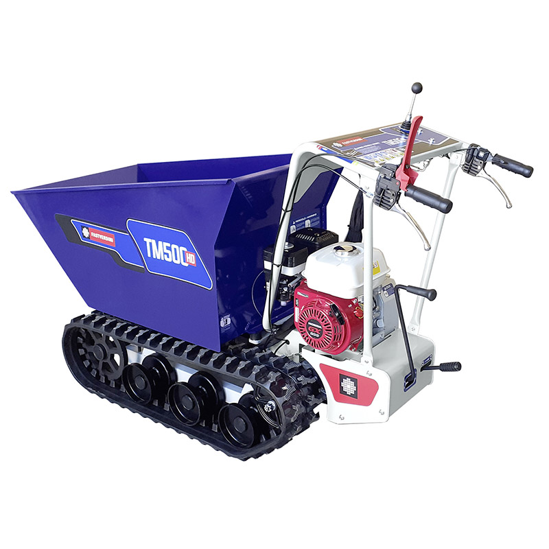 Fast Verdini TM 500 DI Minidumper 500 kg GX200 Hydraulic